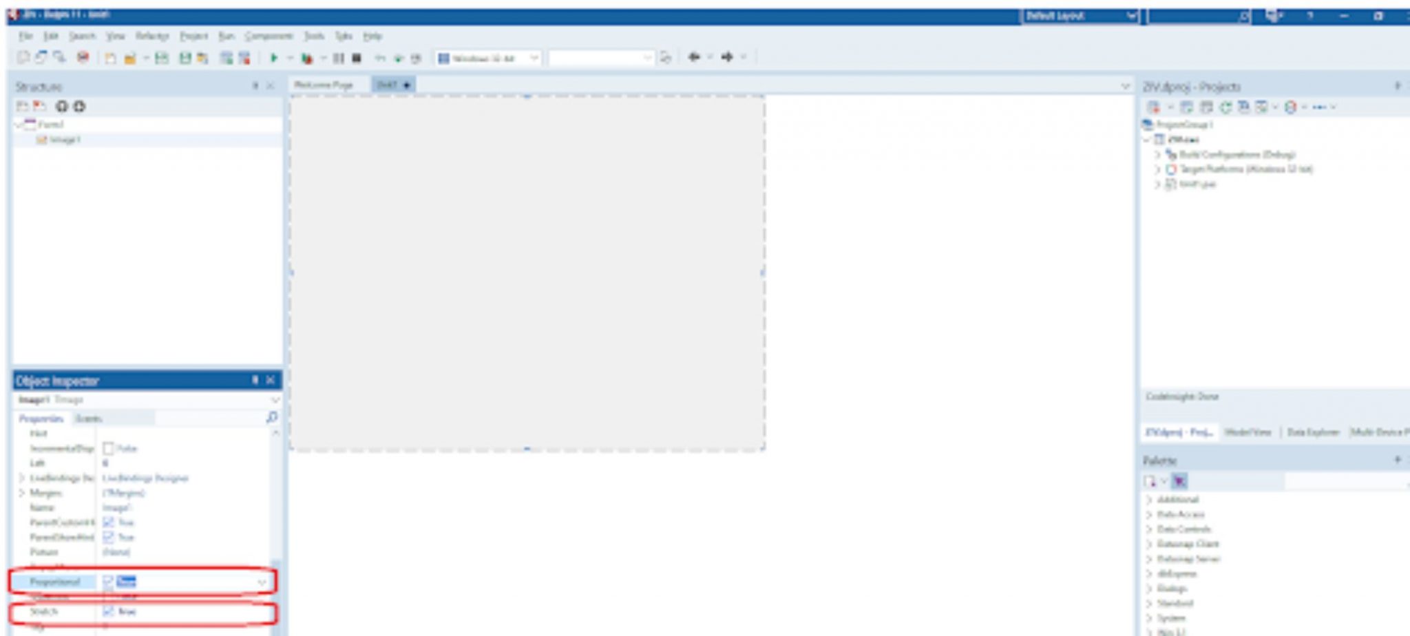 How to create an Image Viewer for a nice image demonstration in Zoom using Delphi – SOFTACOM