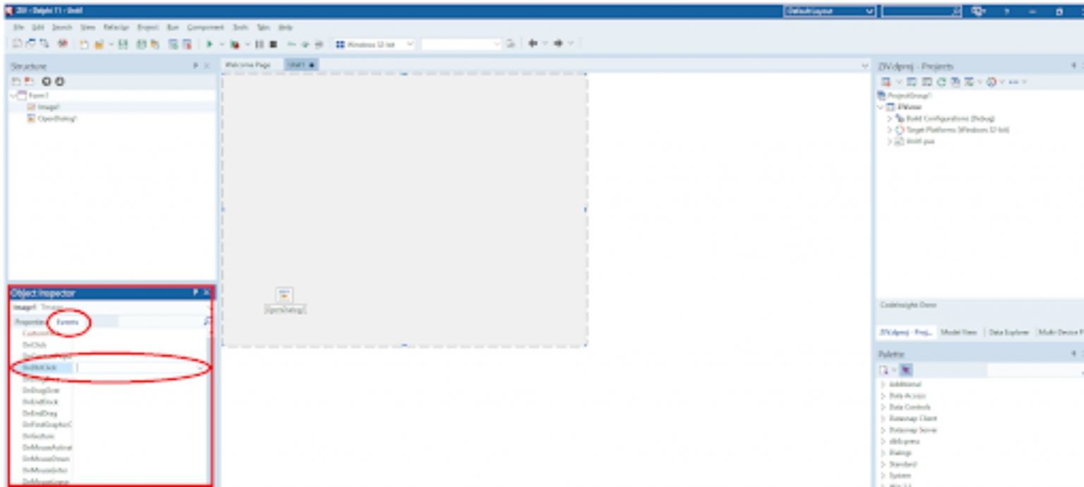 How to create an Image Viewer for a nice image demonstration in Zoom using Delphi – SOFTACOM