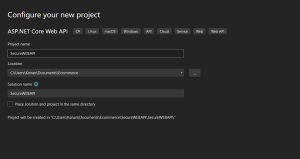 Creating fast and secure WEB API Project in .NET